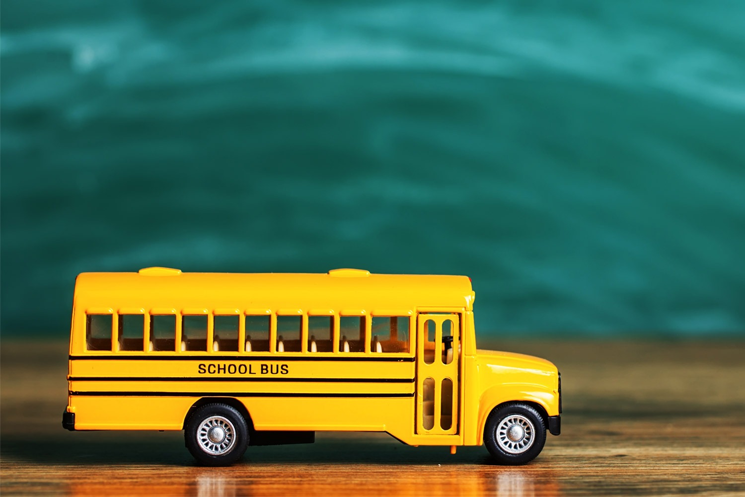 The Secret Lives of School Bus Drivers - Sharon Wishnow Official